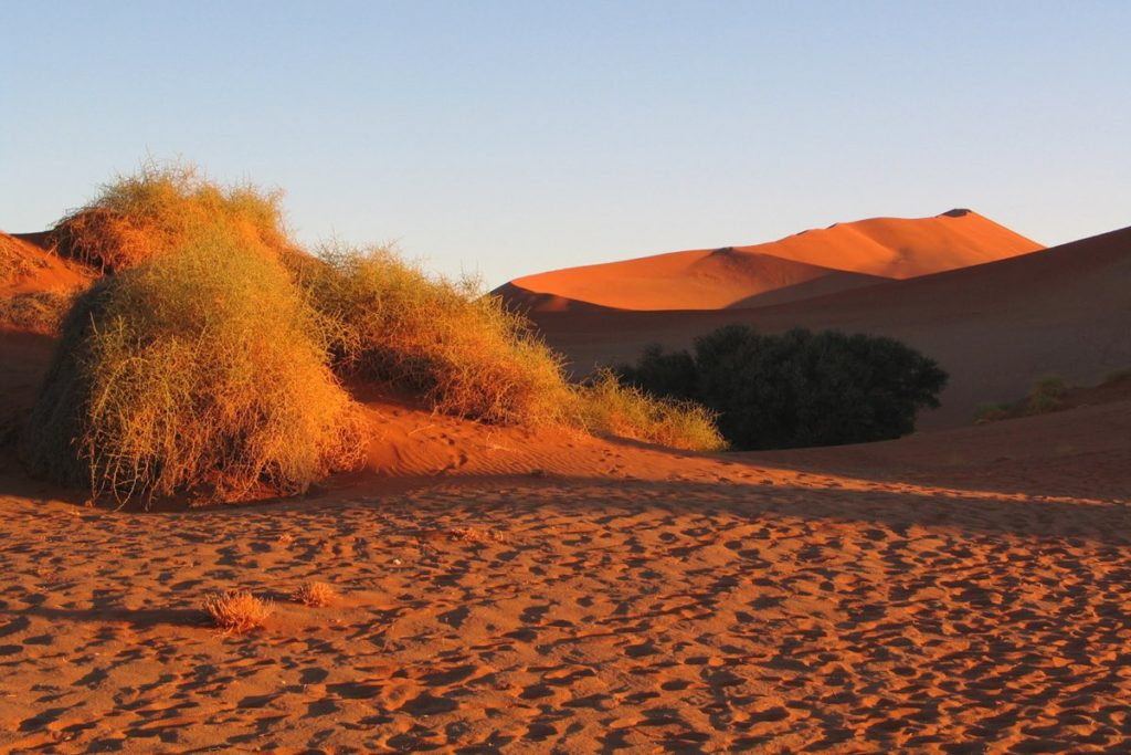 Maurice Rapaille_namibie 165 - ARC Saint-Rémy