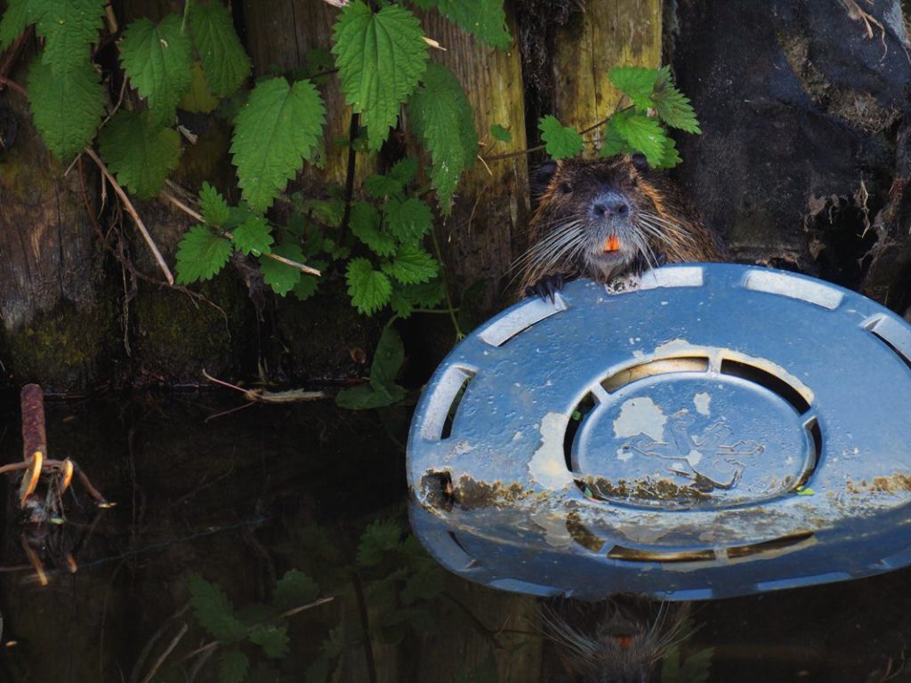 Patrick Lebon_PL.DSC02815 - ARC Saint-Rémy